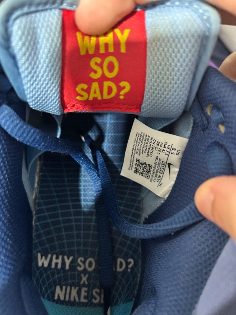 Why So Sad? x Nike SB Dunk Low The Predatory Bird - Droper