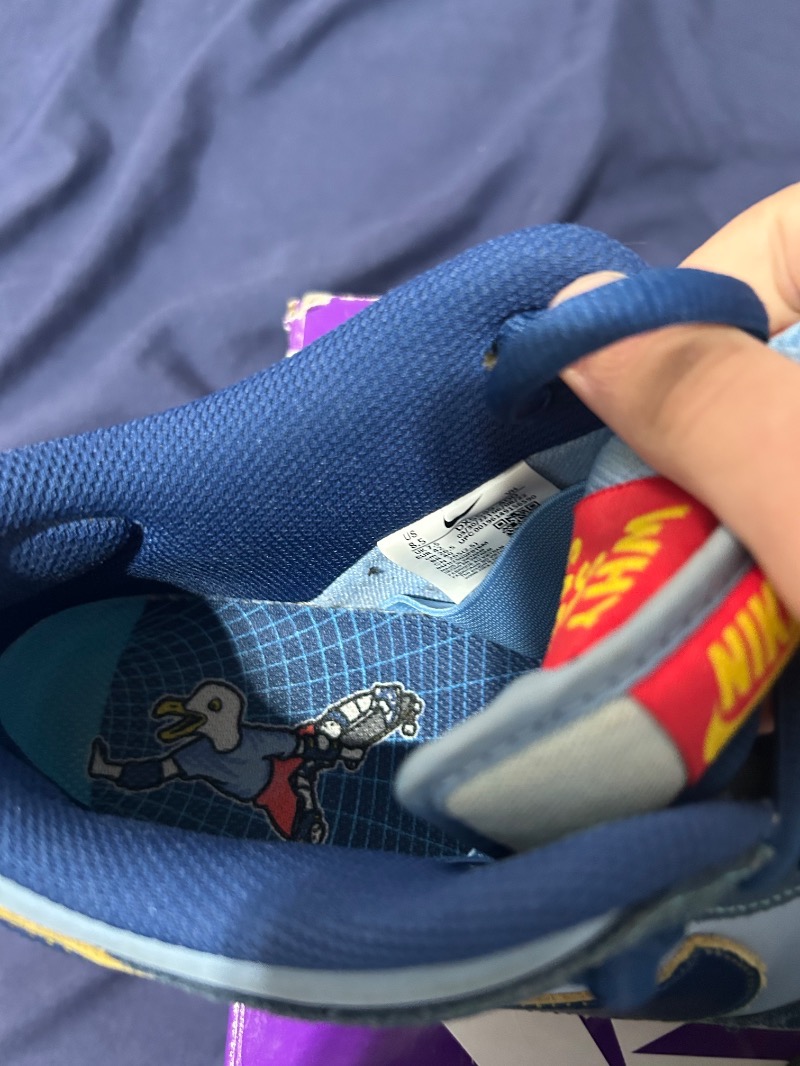 Why So Sad? x Nike SB Dunk Low The Predatory Bird - Droper